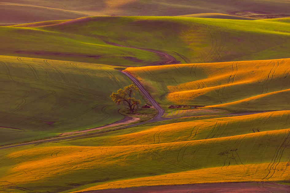 The Palouse in the Morning – Getty Photography